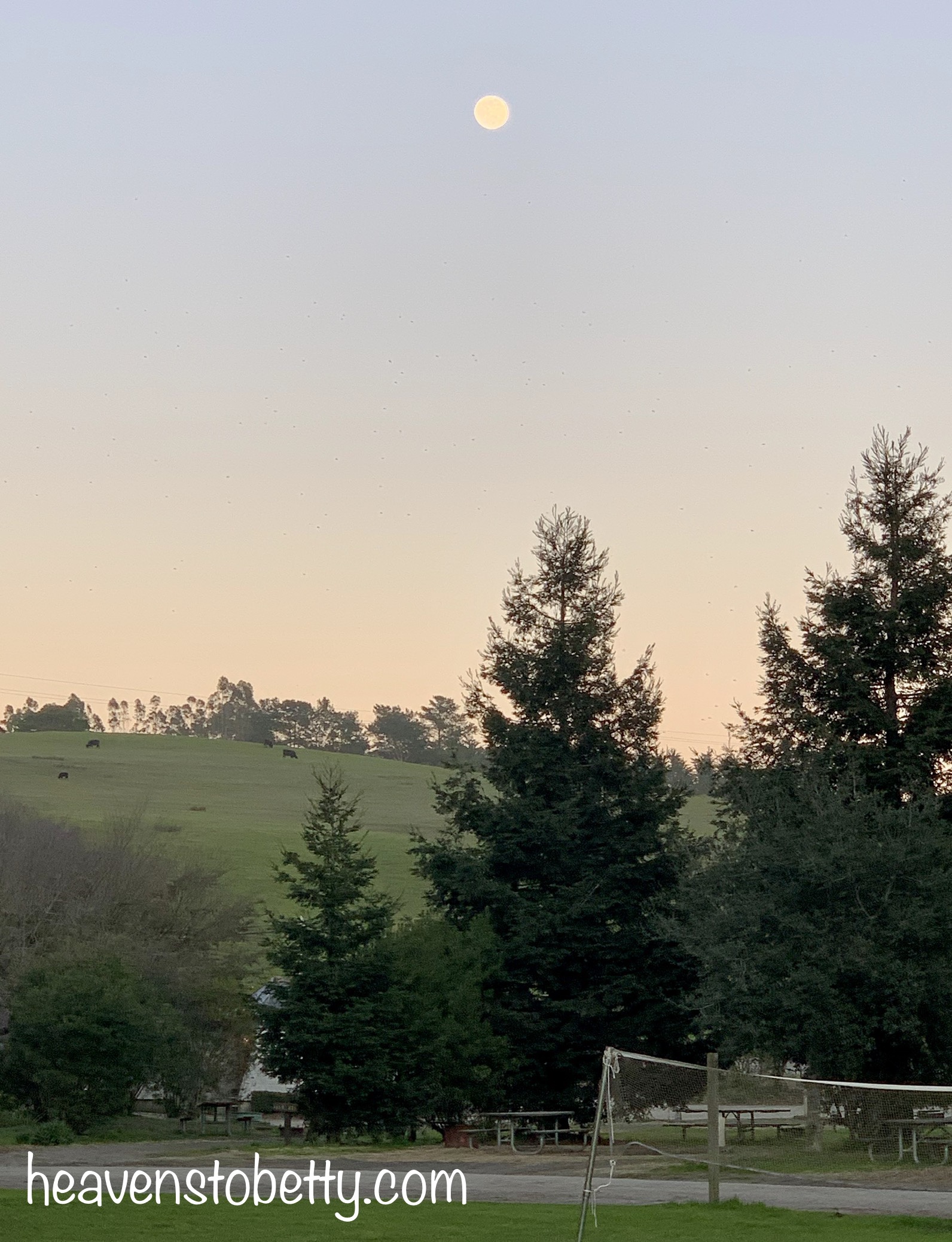 Olema Campground – Olema, California – heavens to betty