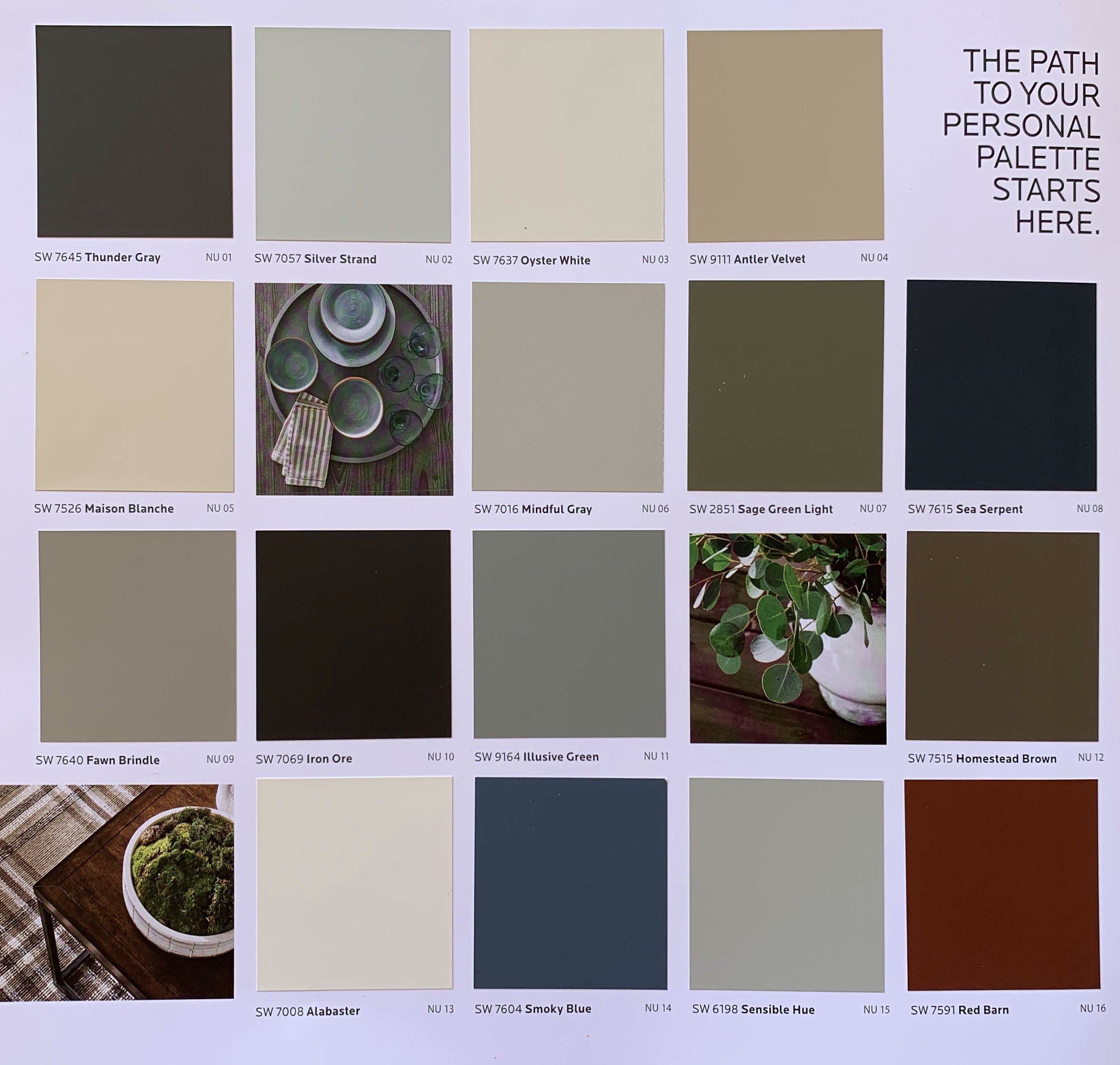 Home Improvement – Choosing Paint Colors – heavens to betty