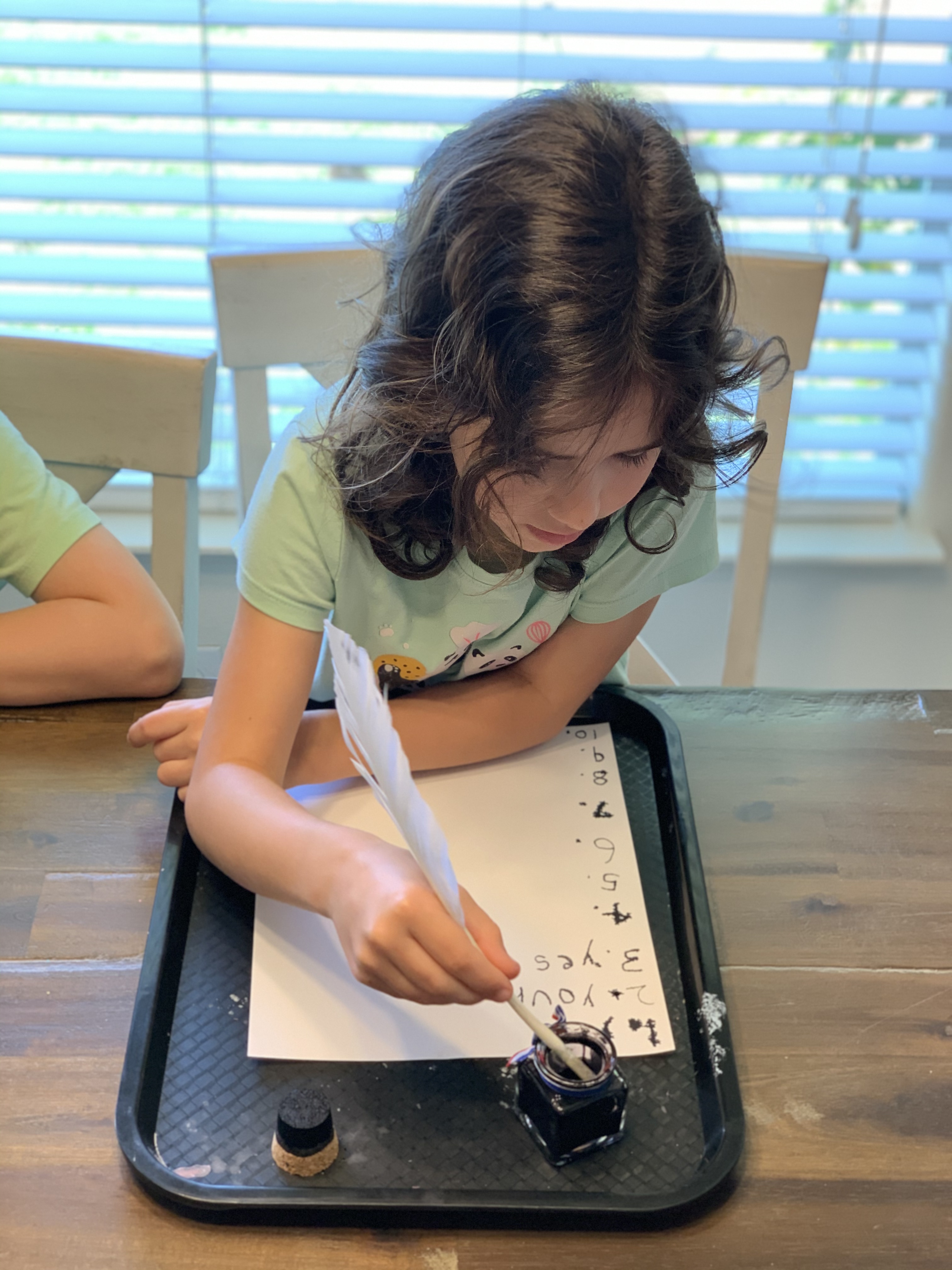 American Girl: Felicity 1774 – American History Unit Study – heavens to ...