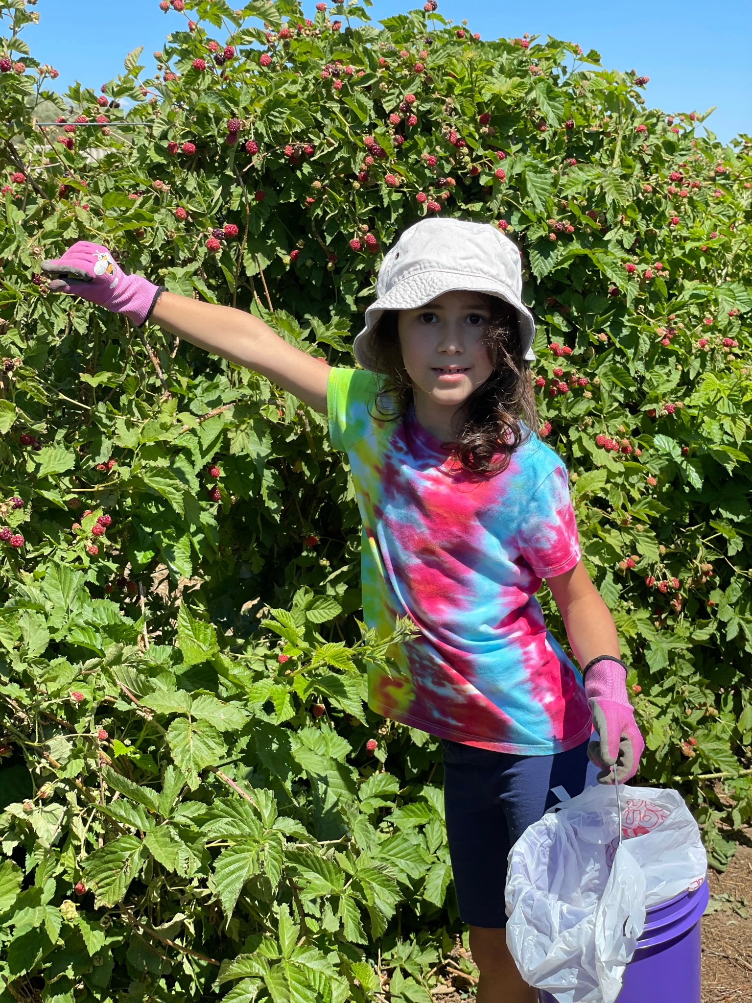 American Girl: Kaya 1764 – American History Unit Study – heavens to betty