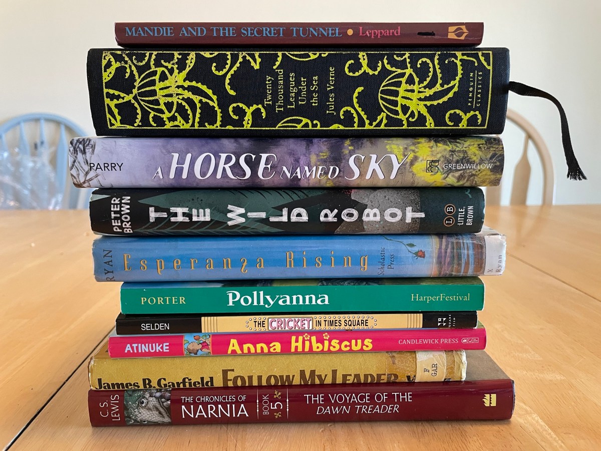 Extreme Book Nerd 2024 – heavens to betty