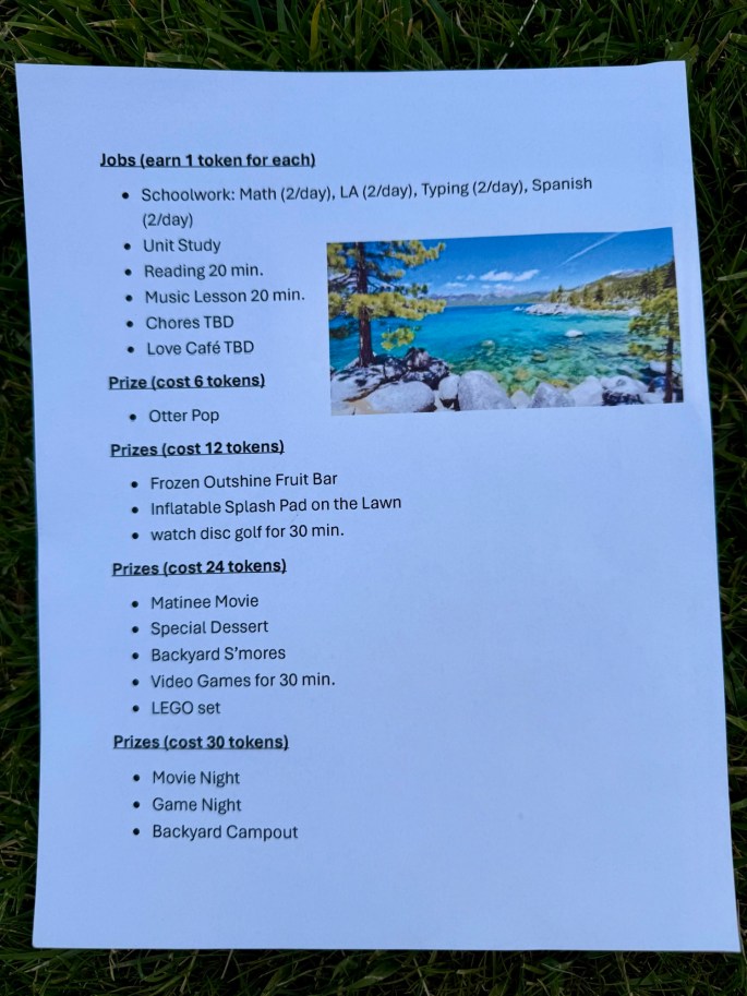 Homeschool Summer Learning ☀️📚📝 – heavens to betty